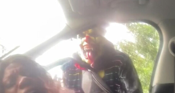 Gibbytheclown Videos And Albums